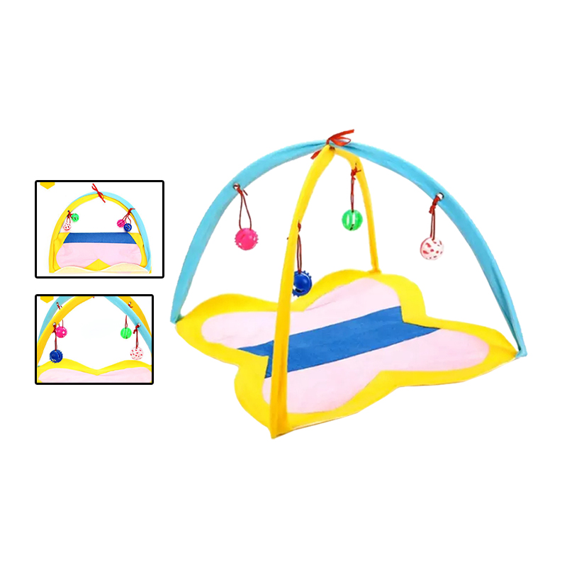 CCPetthai ผู้ผลิต นำเข้า และจัดจำหน่ายอุปกรณ์สัตว์เลี้ยงระดับประเทศ